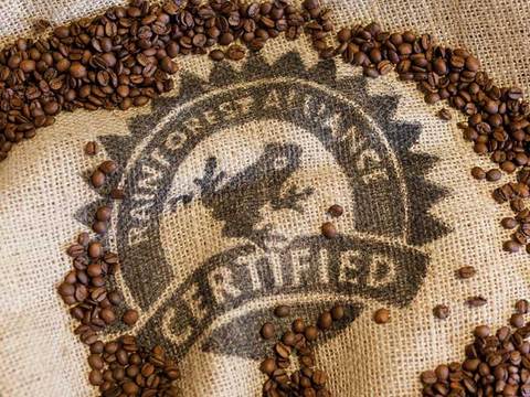 Rainforest Alliance says coffee rituals are changing for the better ...