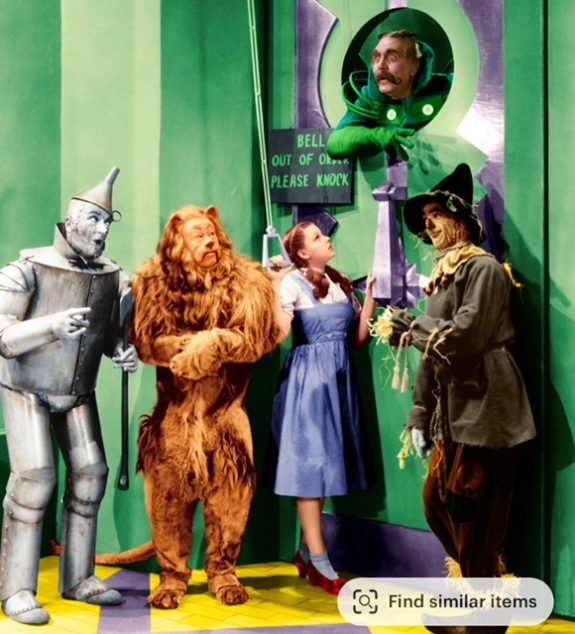 The Wizard of Aus - a story for the stars of the Overlooked Children ...